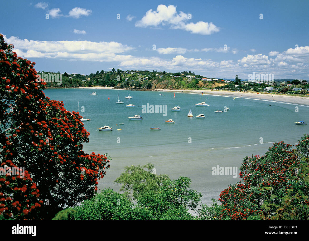 Oneroa Bay Beach High Resolution Stock Photography and Images - Alamy