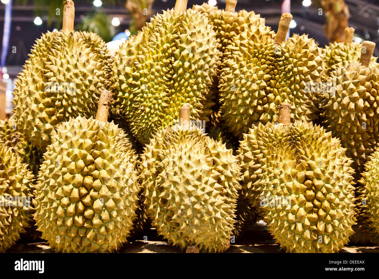 Durian is fruit in Thailand Stock Photo - Alamy