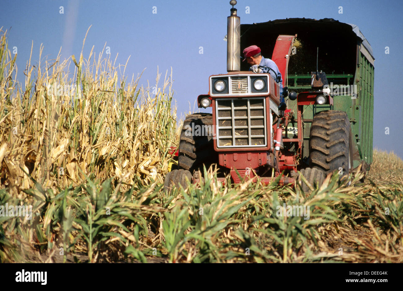 Milo Maize High Resolution Stock Photography and Images - Alamy