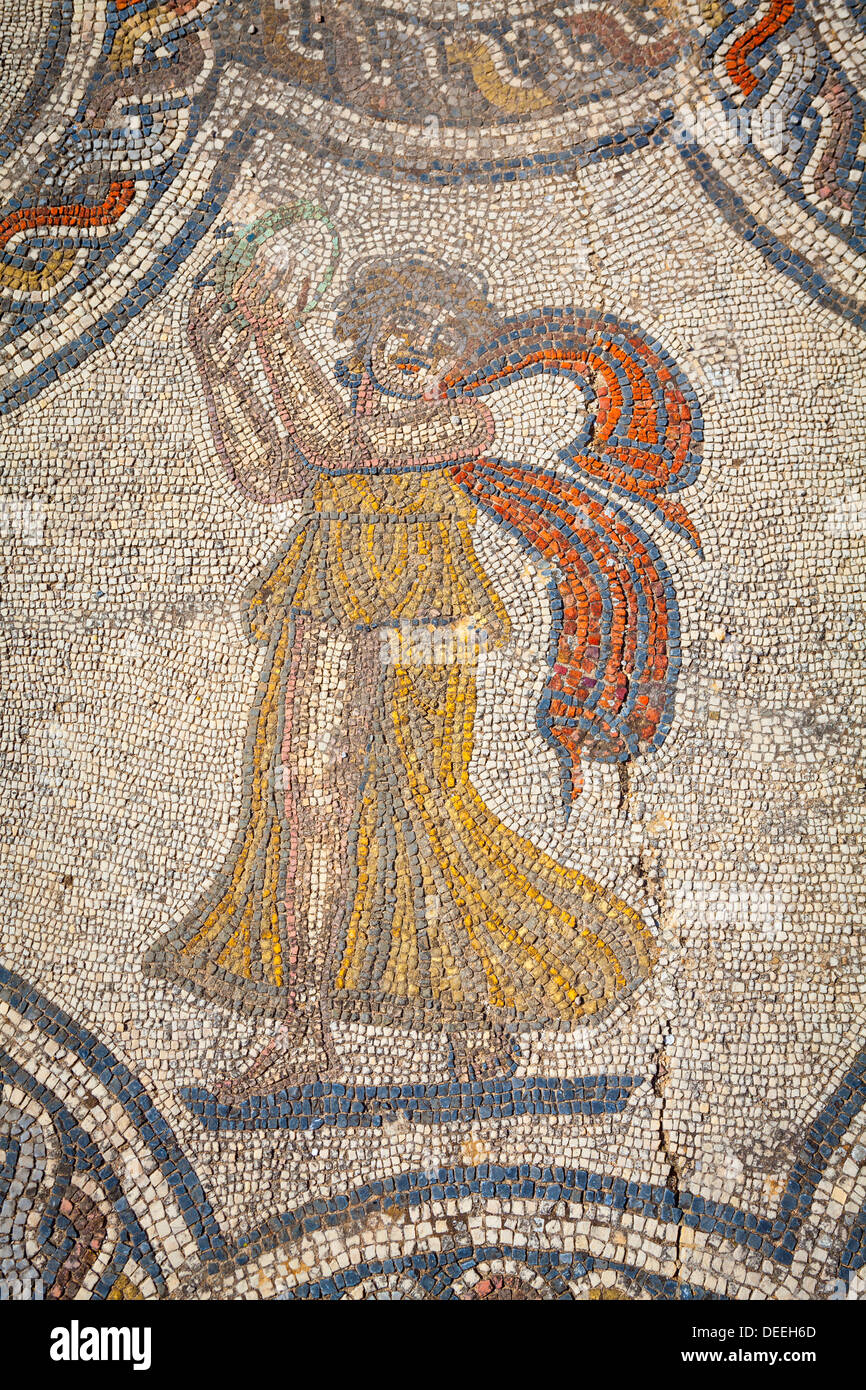 Mosaic detail from the House of Dionysus, Volubilis, UNESCO World ...