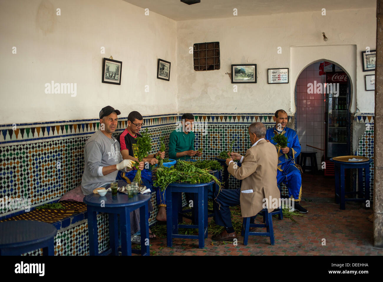 Moroccan men binding mint leaves together in a teashop in Rabat Stock ...