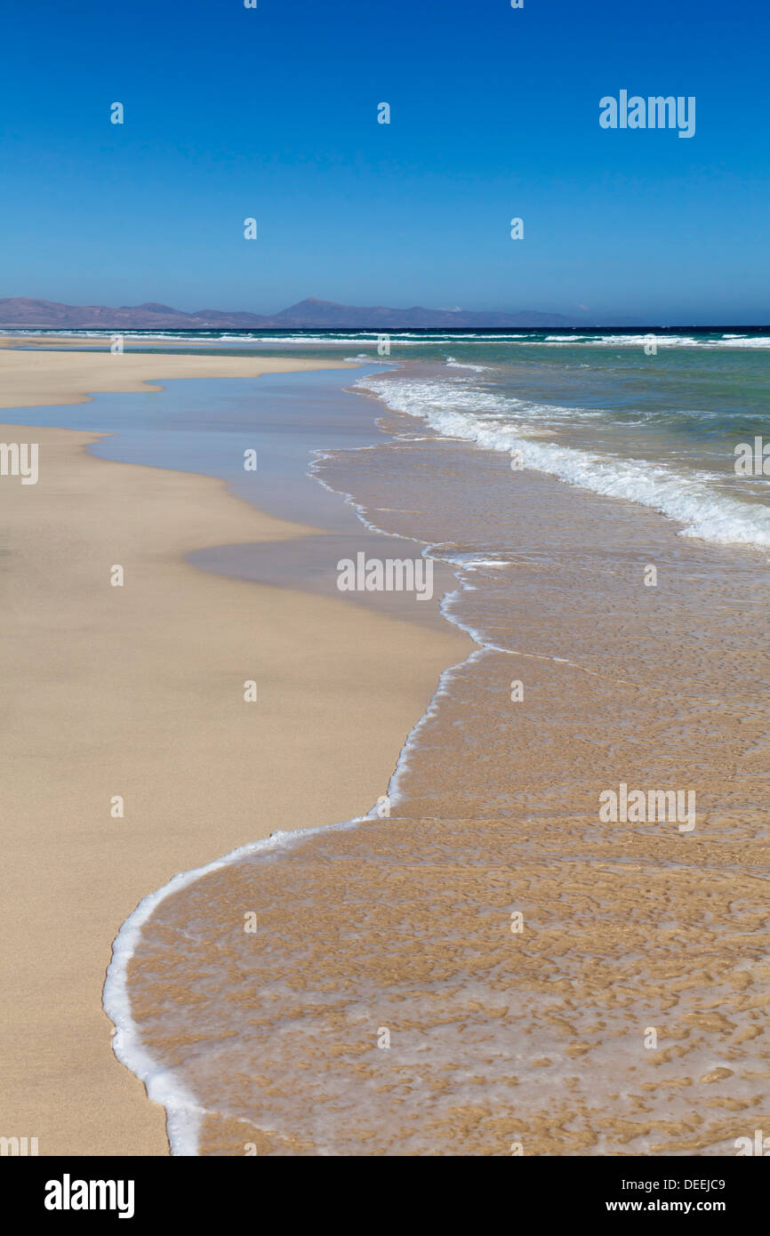 Beach of Risco del Paso, Fuerteventura, Canary Islands, Spain, Atlantic ...