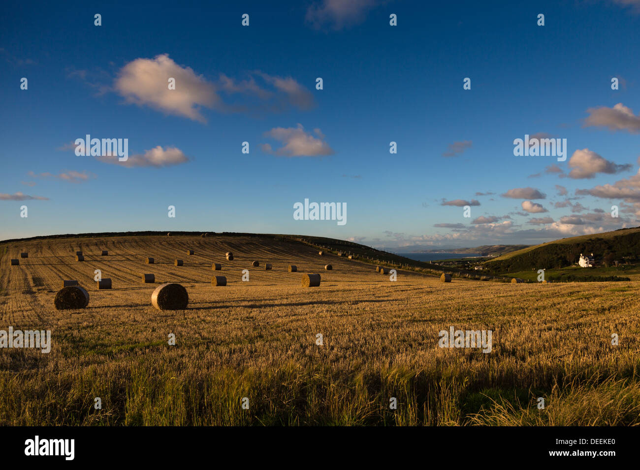 Shadows on bales hi-res stock photography and images - Alamy
