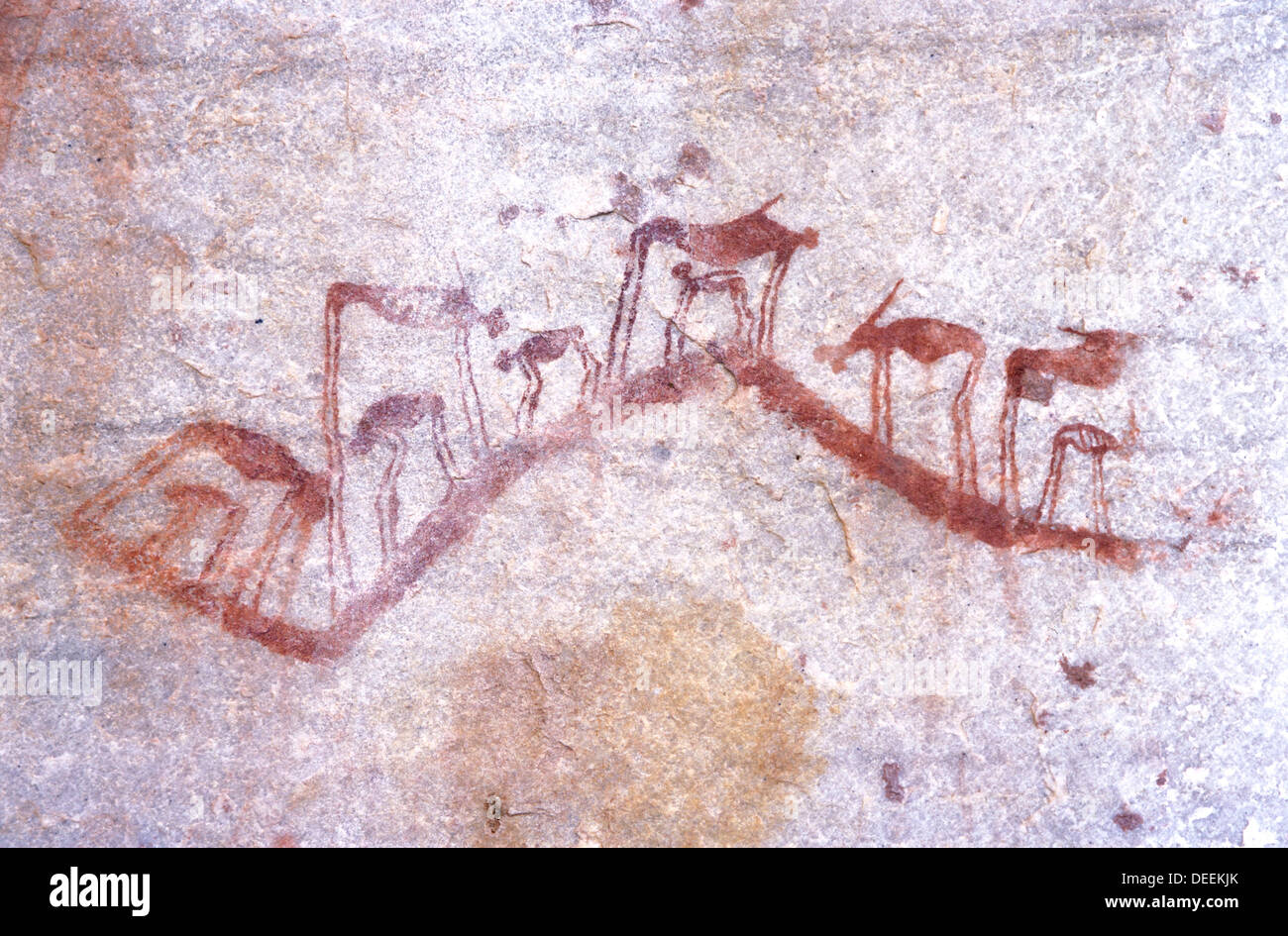 South africa south africa bushmen hi-res stock photography and images ...