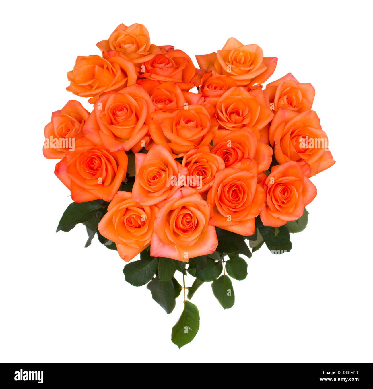 bouquet of orange roses Stock Photo - Alamy
