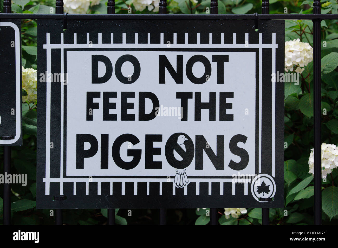 Do Not Feed The Pigeons sign in New York City, New York, USA Stock ...