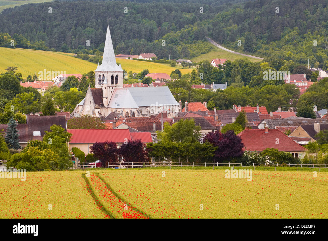 The village of Ricey Haut in the Champagne area, France, Europe Stock ...