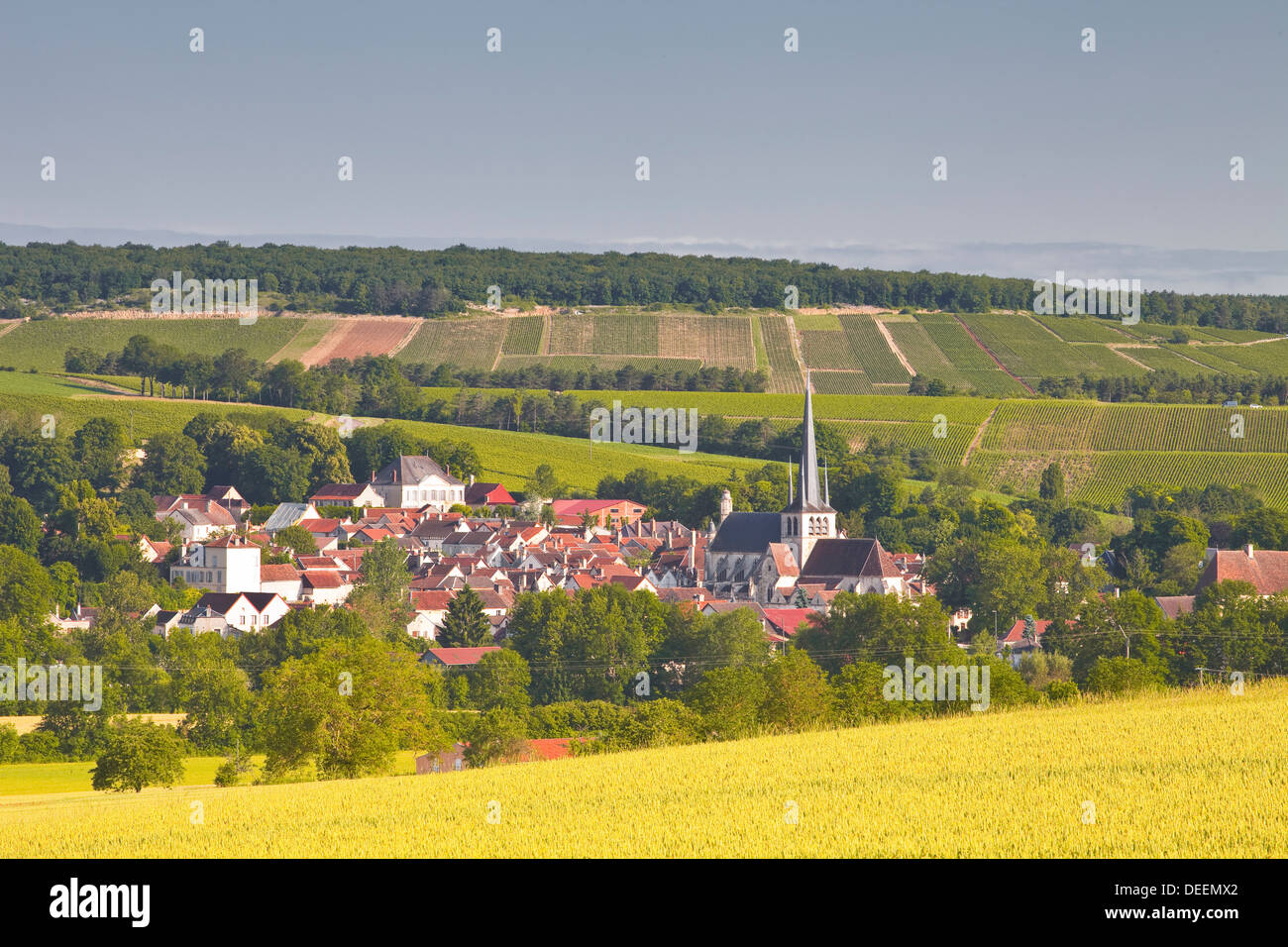 The village of Ricey Bas in the Cote des Bar area, Champagne, France ...