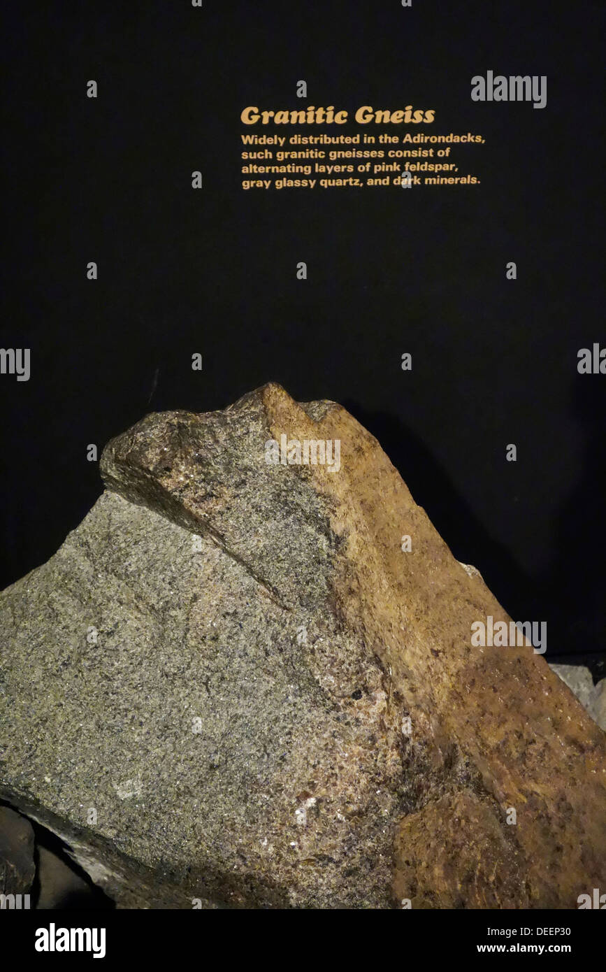 New York State museum in Albany Stock Photo - Alamy