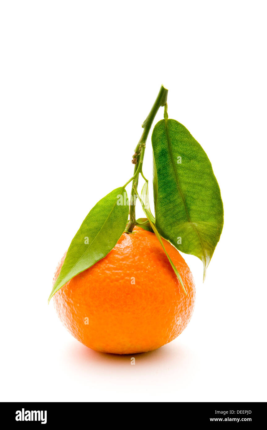 Mandarin hi-res stock photography and images - Alamy