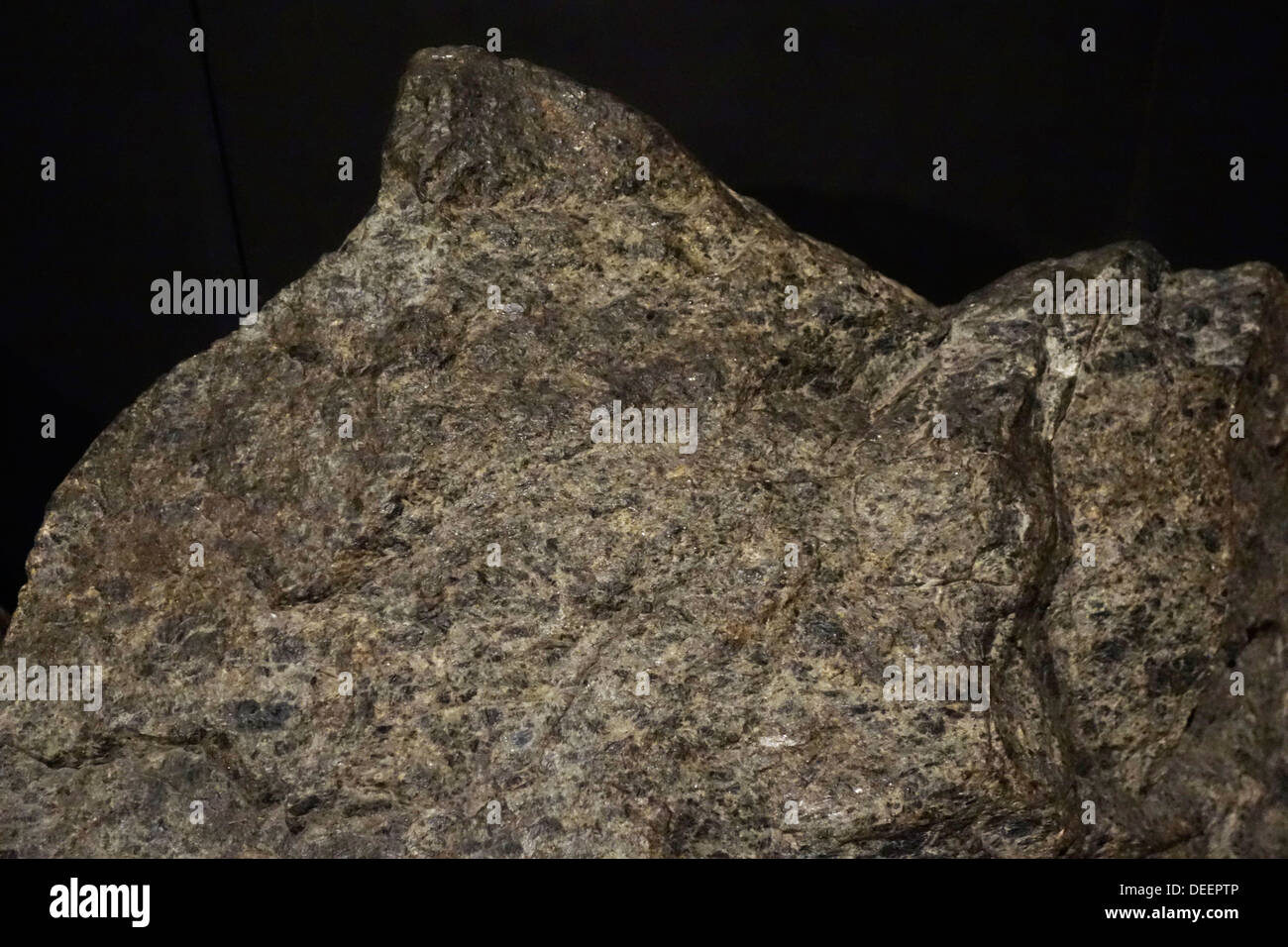 New York State museum in Albany Stock Photo - Alamy