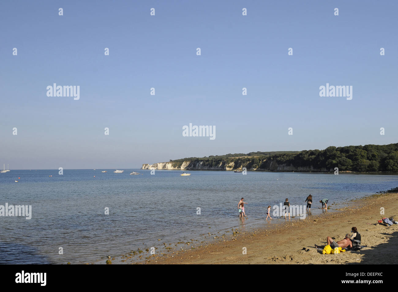 Old harry rocks dorset hi-res stock photography and images - Alamy