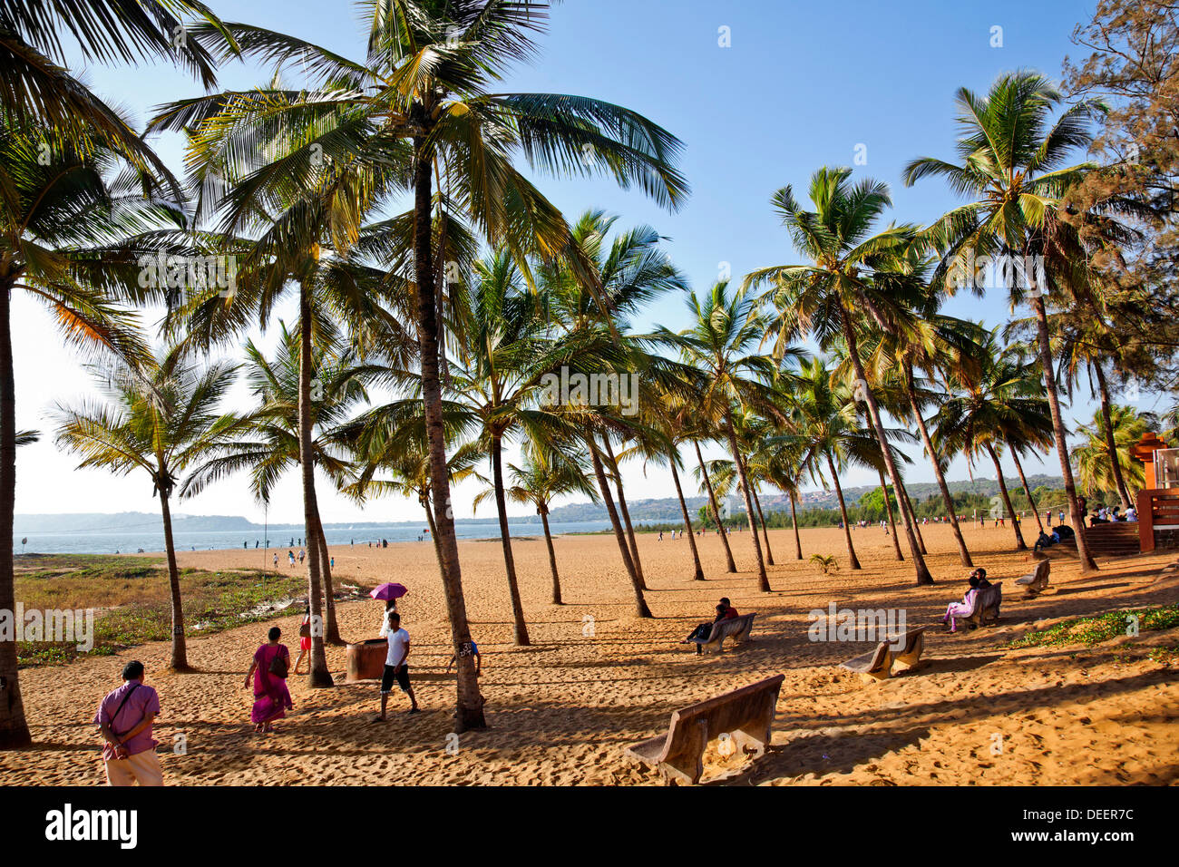 Tourists on the beach, Miramar Beach, Panaji, North Goa, Goa, India ...