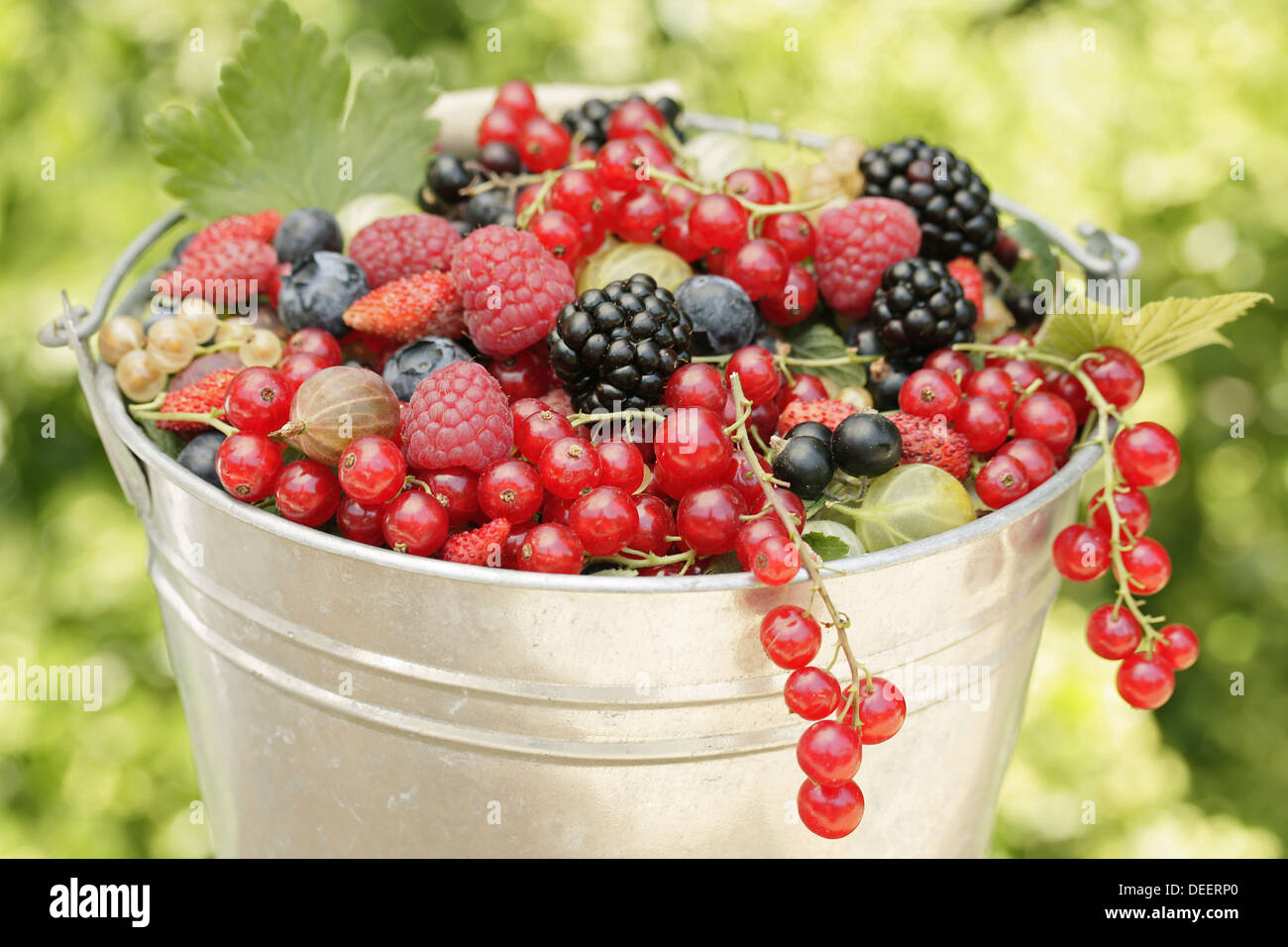 Mineral bucket hi-res stock photography and images - Alamy