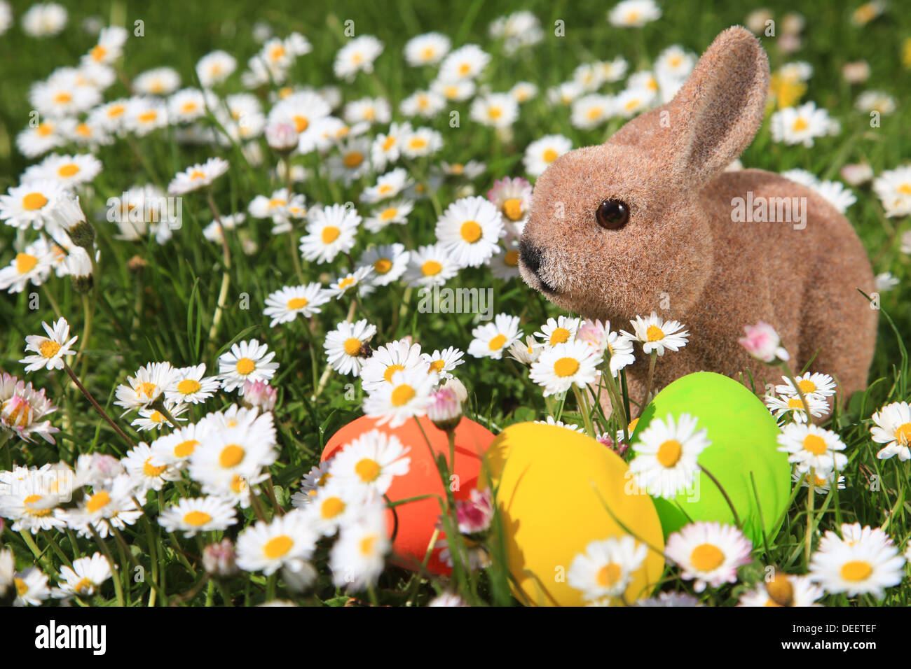 Easter bunny and Easter eggs in the garden Stock Photo - Alamy