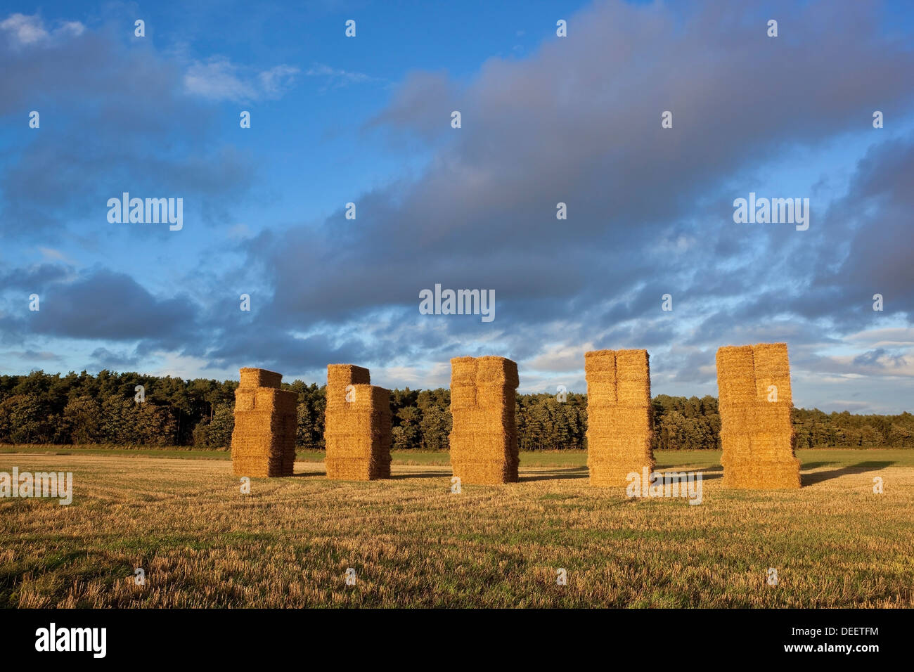 Tall stacks hi-res stock photography and images - Alamy