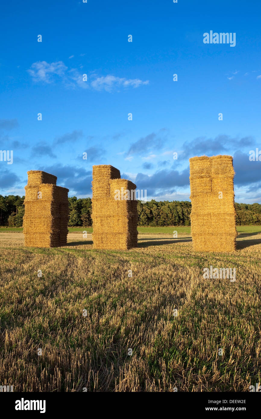 Straw bale stacks hi-res stock photography and images - Alamy