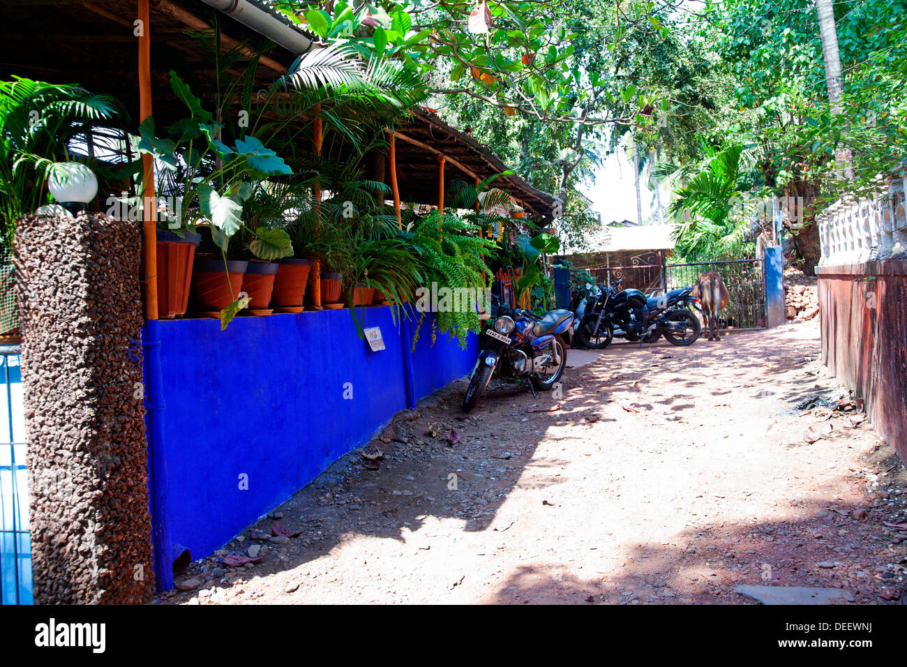 Baba au rhum goa hi-res stock photography and images - Alamy