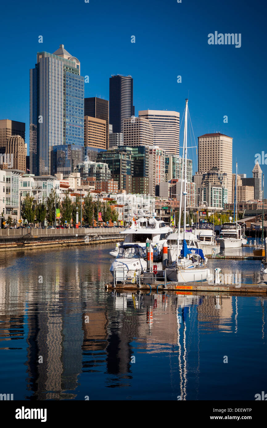Buildings of downtown Seattle rise above Bell Harbor Marina on the ...