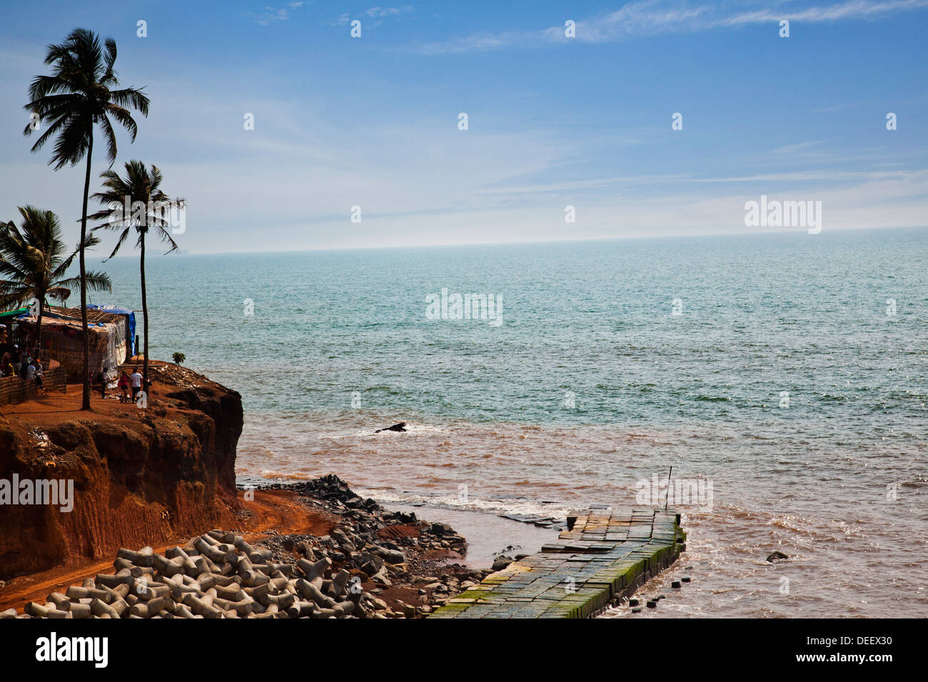 Palm trees on the coast, Goa, India Stock Photo - Alamy