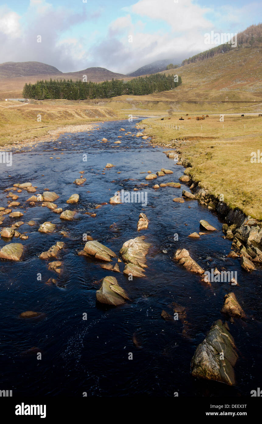 River and upland Forestry Stock Photo - Alamy