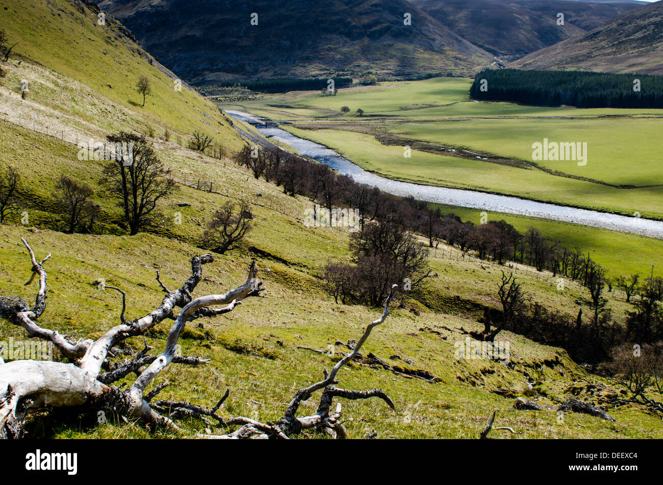 View of Findhorn Valley fron top Stock Photo - Alamy
