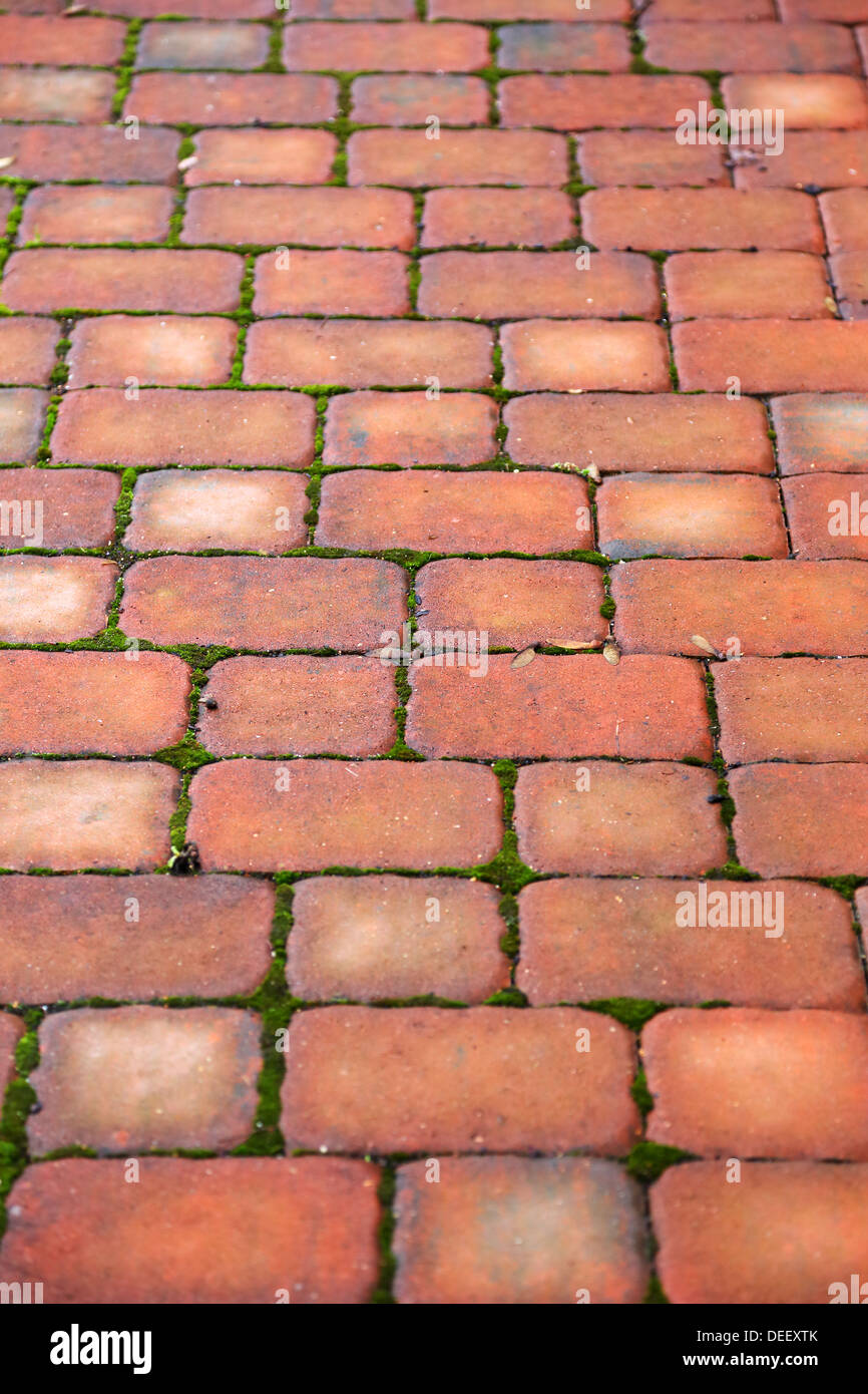 old pavement of red stones Stock Photo - Alamy
