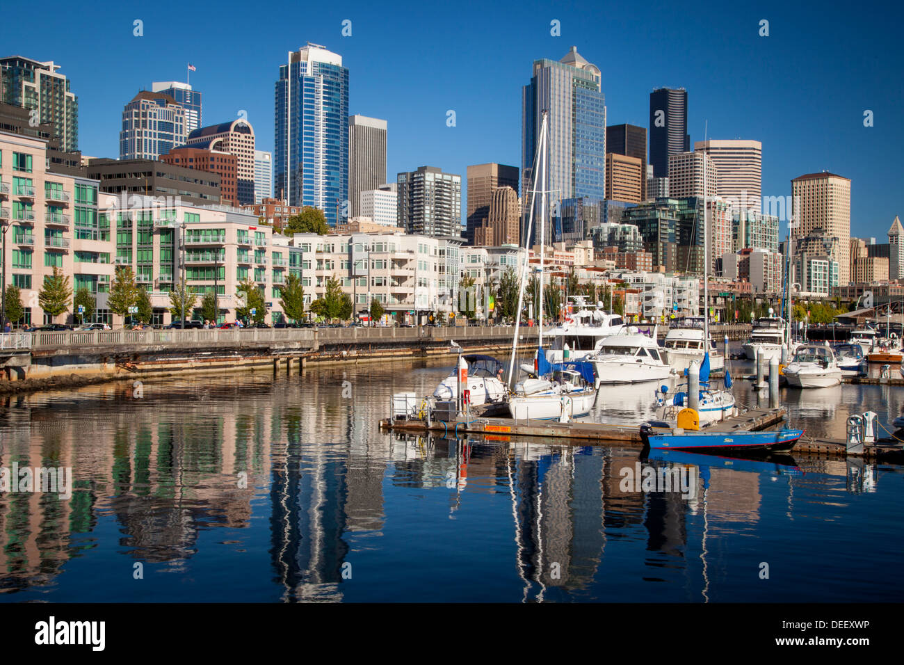 Buildings of downtown Seattle rise above Bell Harbor Marina on the ...