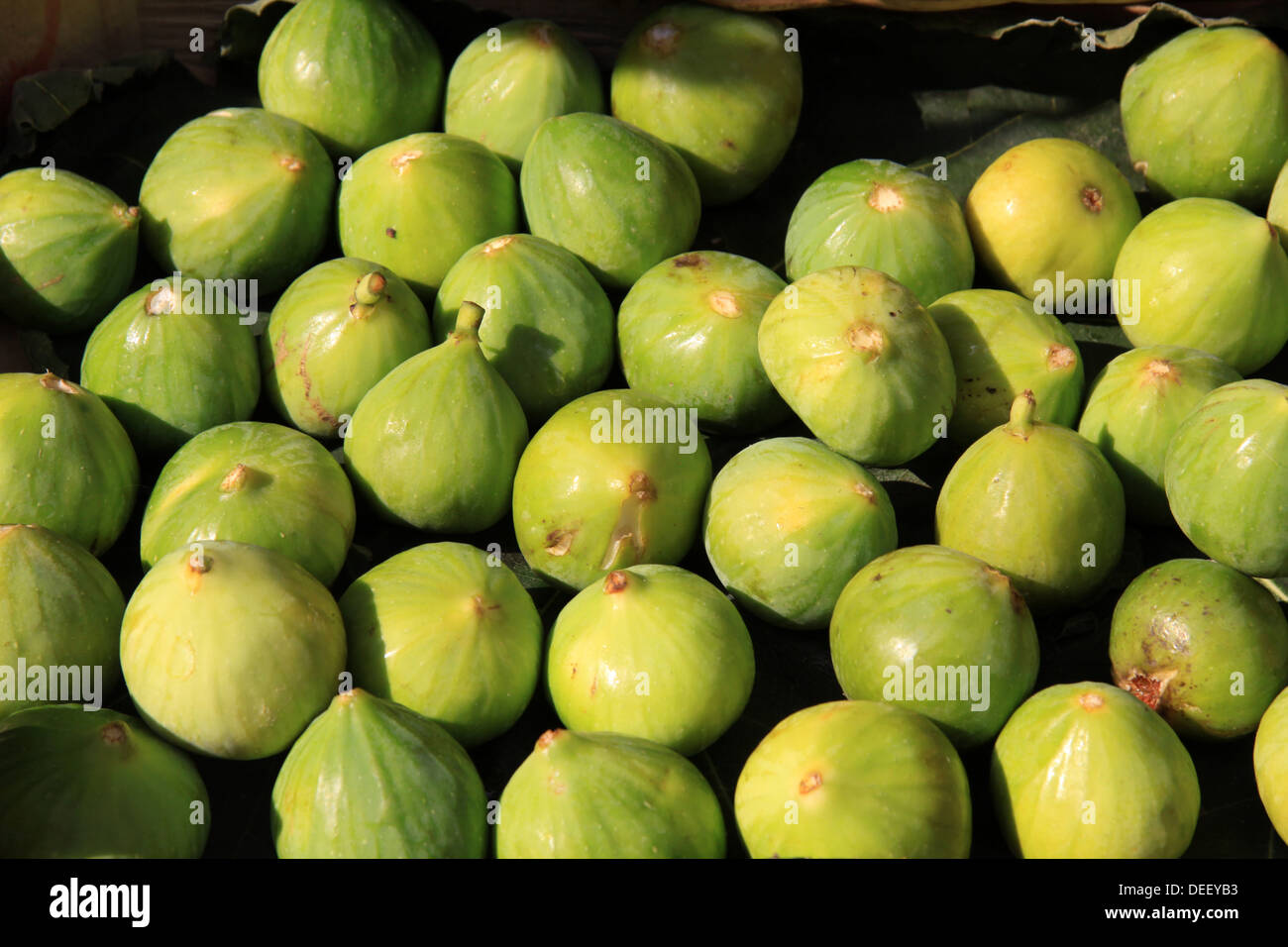 Delicatessen. siena. tuscany. italy hi-res stock photography and images ...