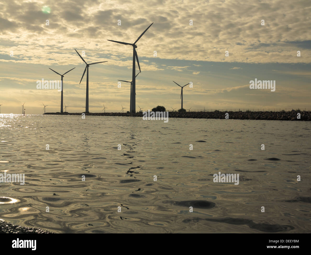 Renewable energy. Farm of windmills Stock Photo - Alamy