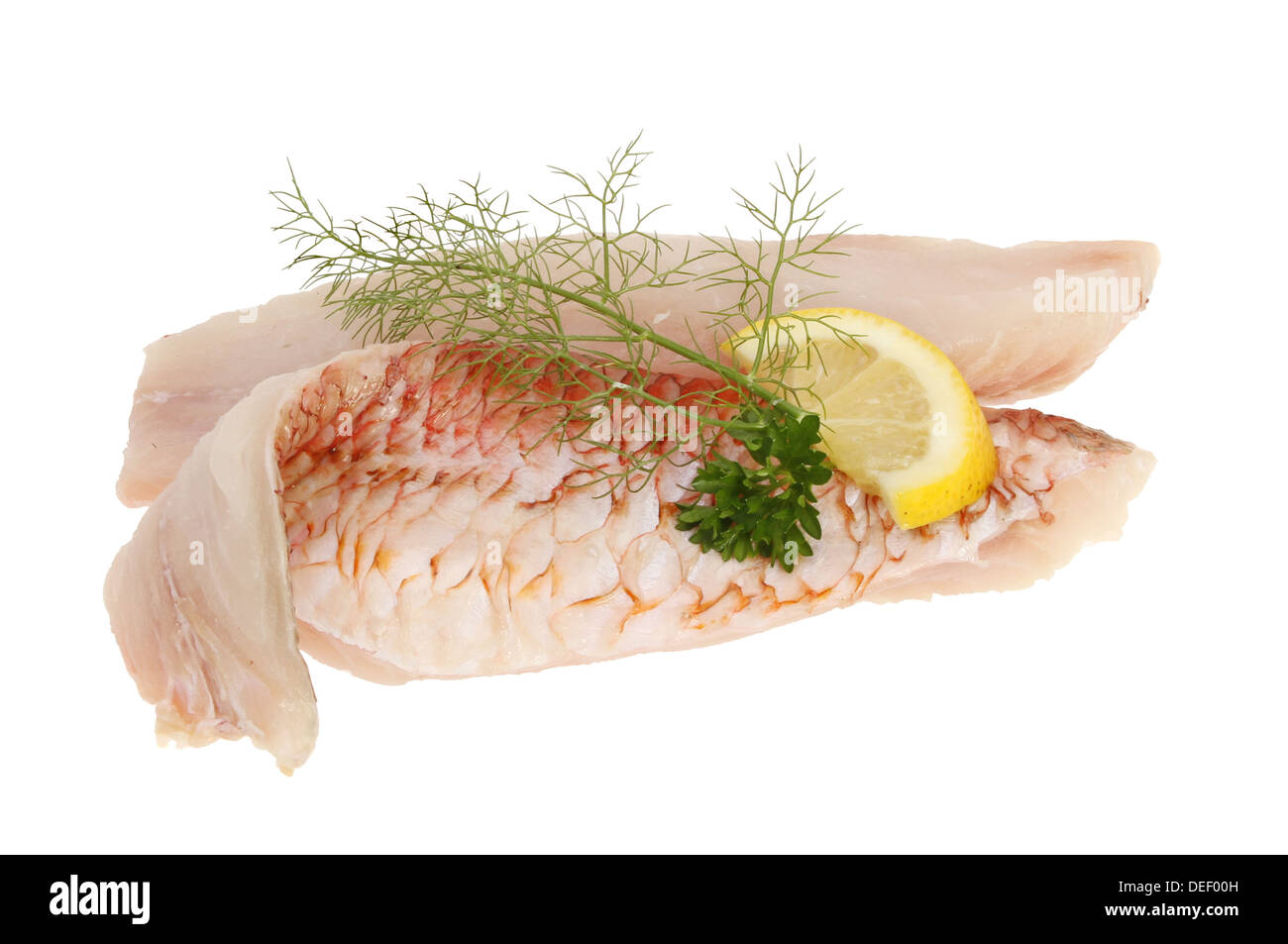Raw red mullet fish fillets garnished with lemon, parsley and fennel ...