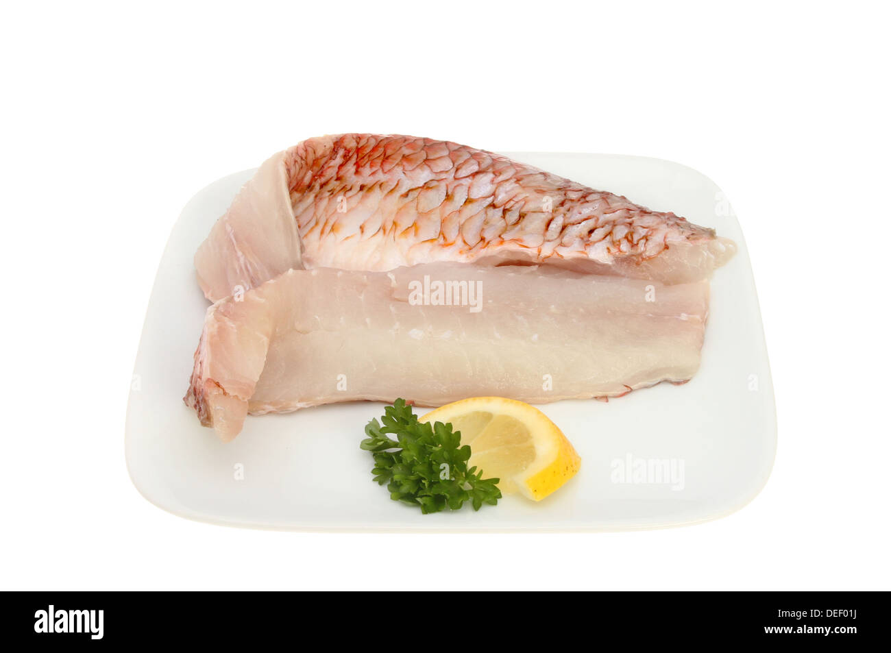 Mullet on white fish hi-res stock photography and images - Alamy