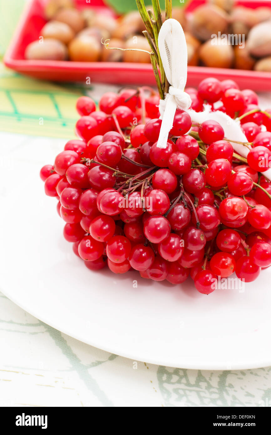 ripe fruit plants viburnum Stock Photo - Alamy