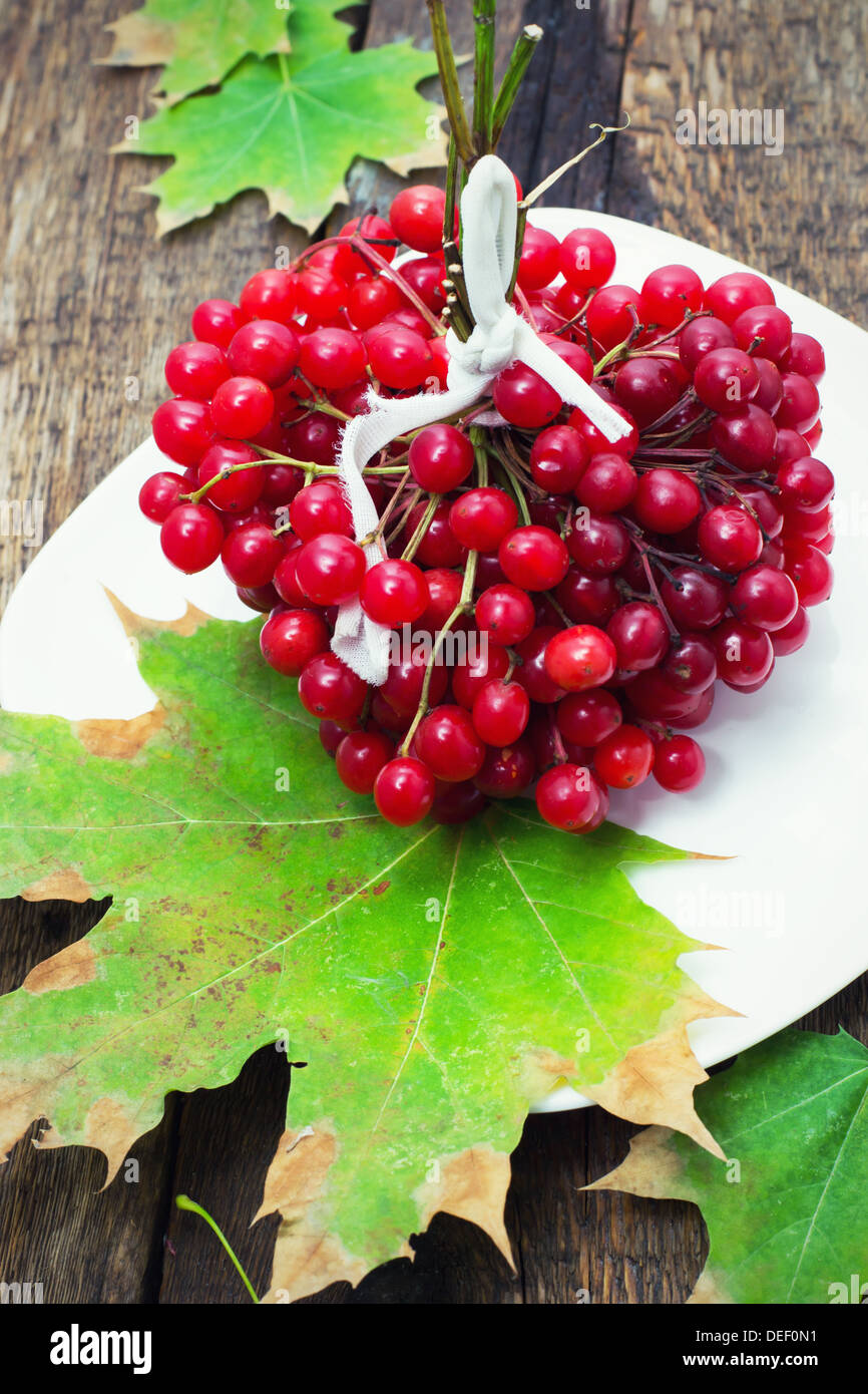 ripe fruit plants viburnum Stock Photo - Alamy
