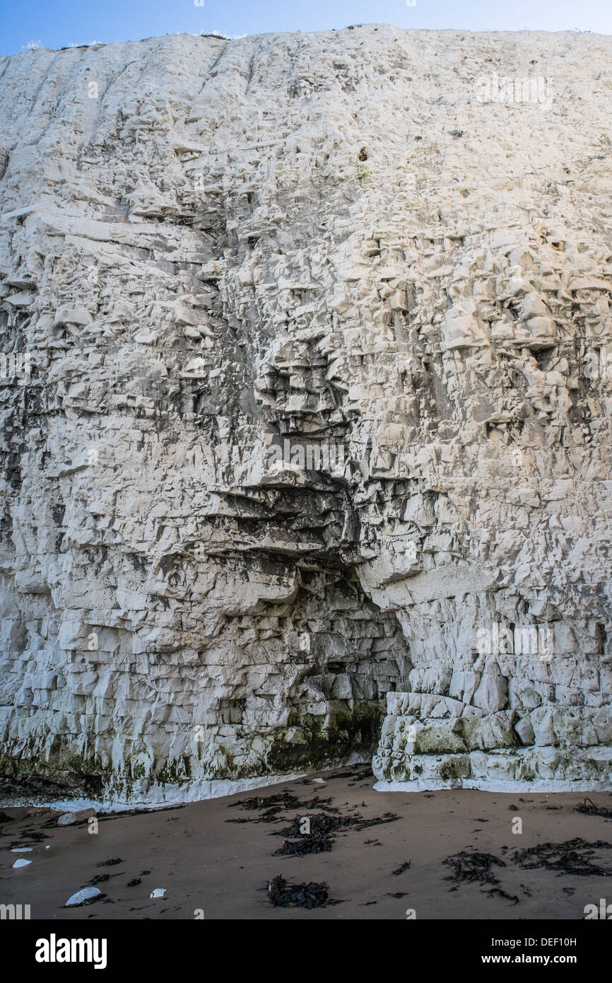 Chalk Cliff with Cave, Kingsgate Bay, Kent, UK Stock Photo - Alamy