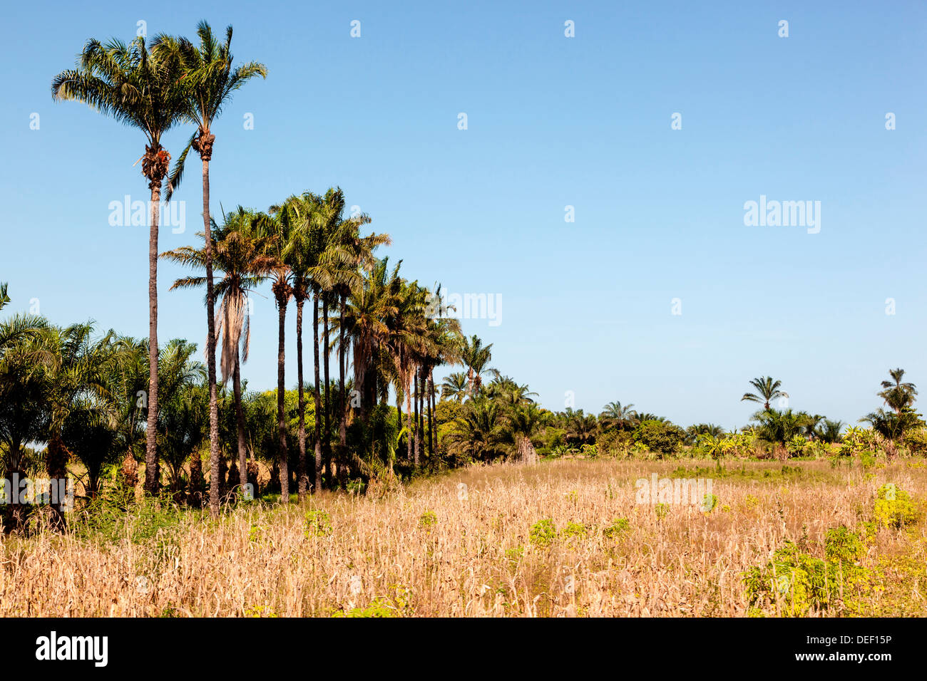 Africa, Angola, Lobito. View of countryside scenery Stock Photo - Alamy