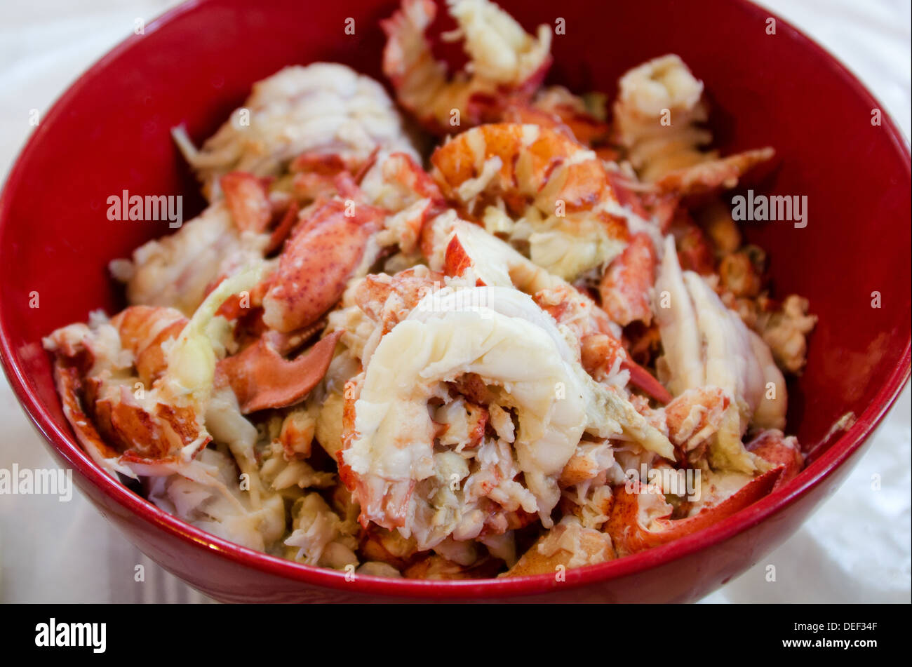 Large pieces of cooked lobster in a red bowl Stock Photo - Alamy
