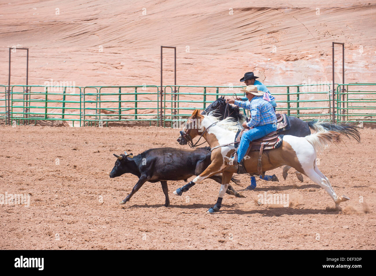 Cowboys Participates in in a Calf roping Competition at the 92nd annual ...