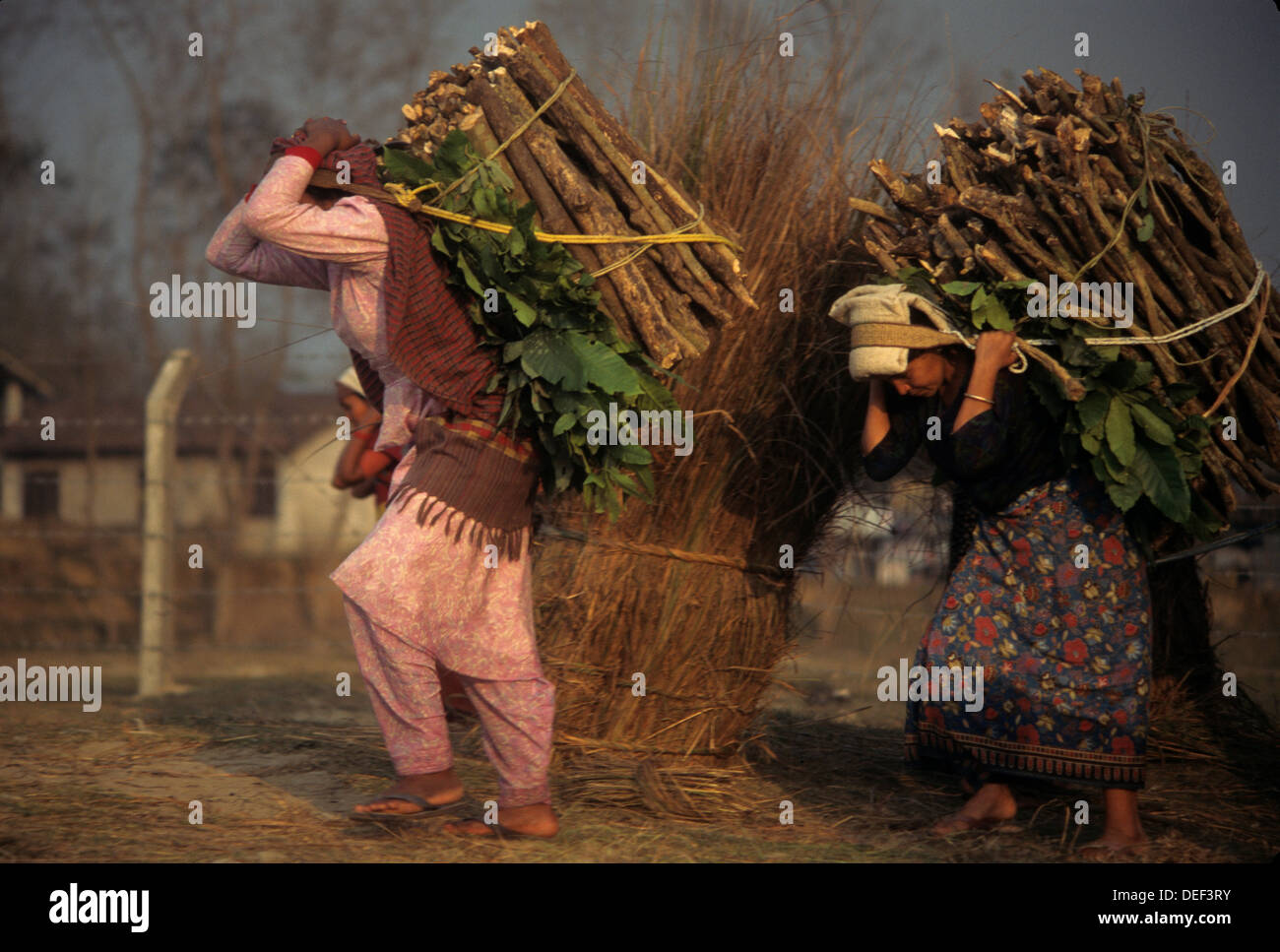 nepal, people, himalaya, village, portrait, asia Stock Photo - Alamy