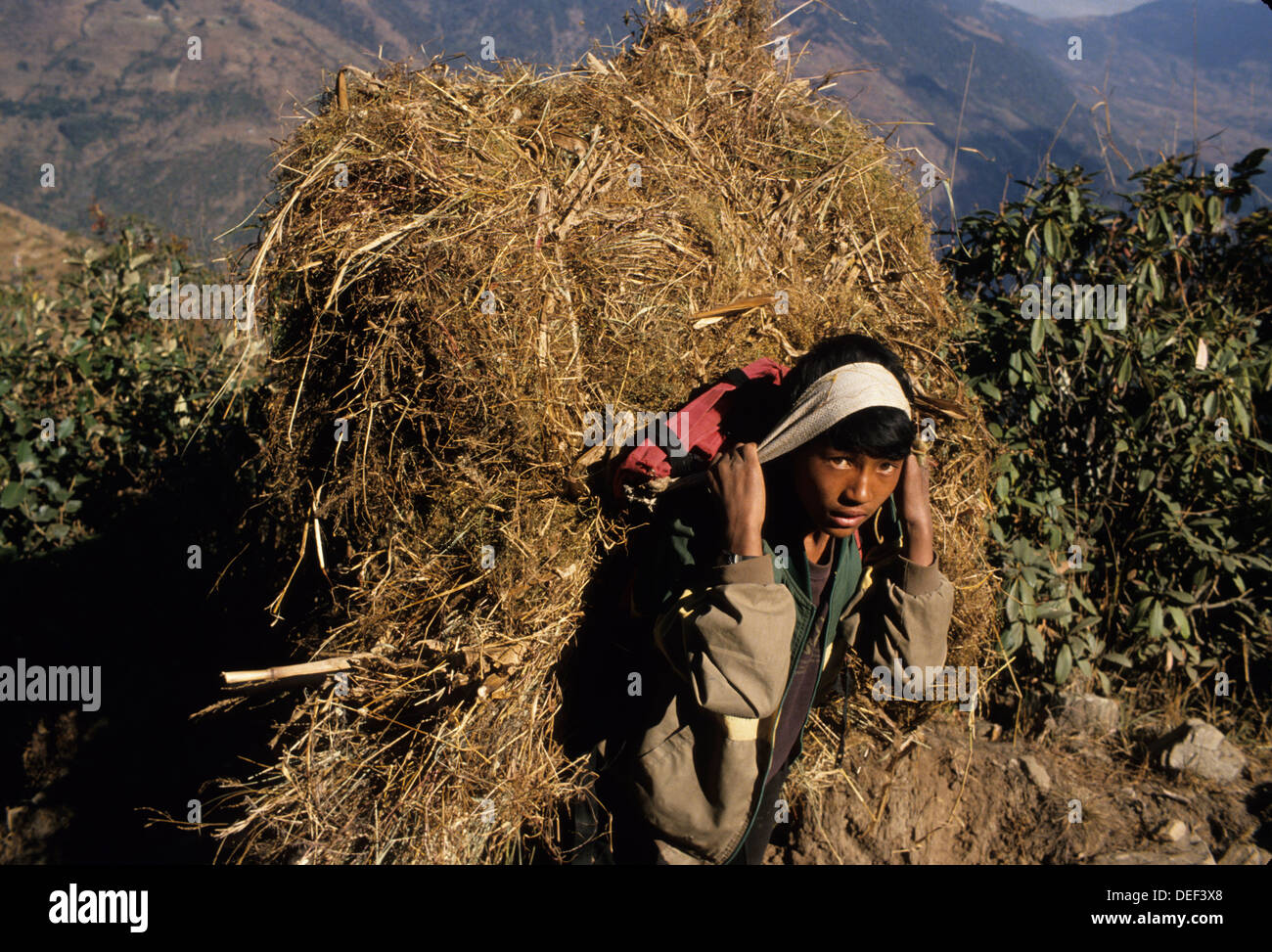 nepal, village, people, portrait, himalaya, asia, face, nepalese Stock ...
