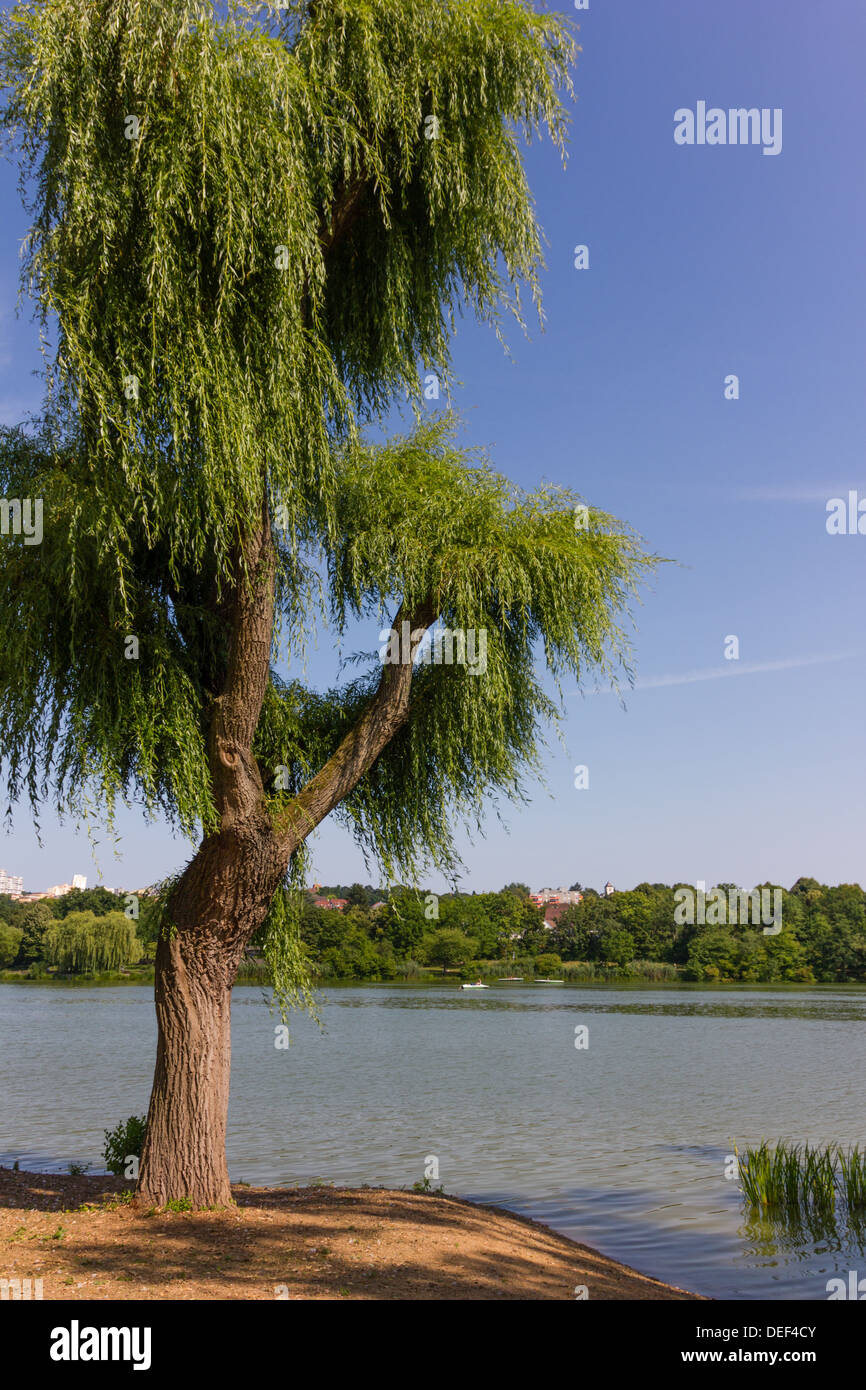 Recreational lake hi-res stock photography and images - Alamy