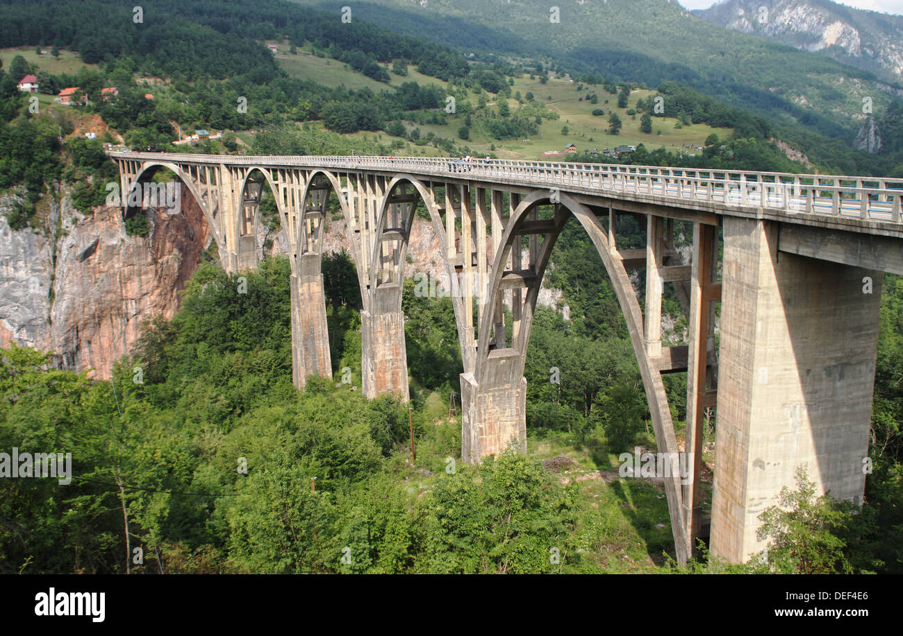 Tara river bridge in hi-res stock photography and images - Alamy