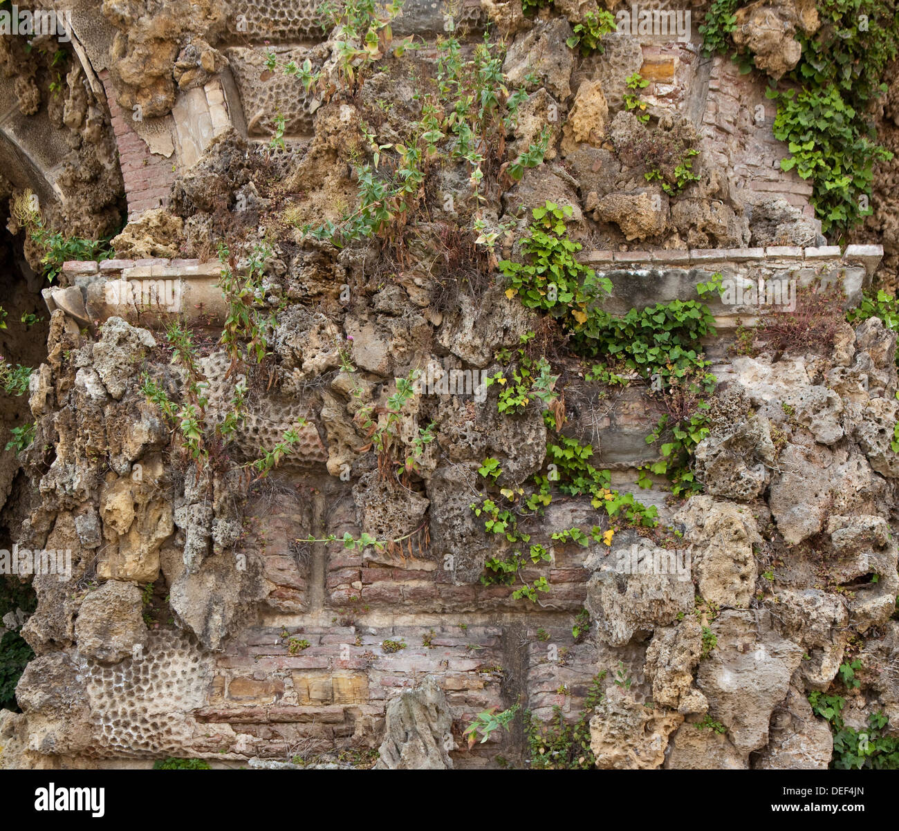 Calcified rock hi-res stock photography and images - Alamy