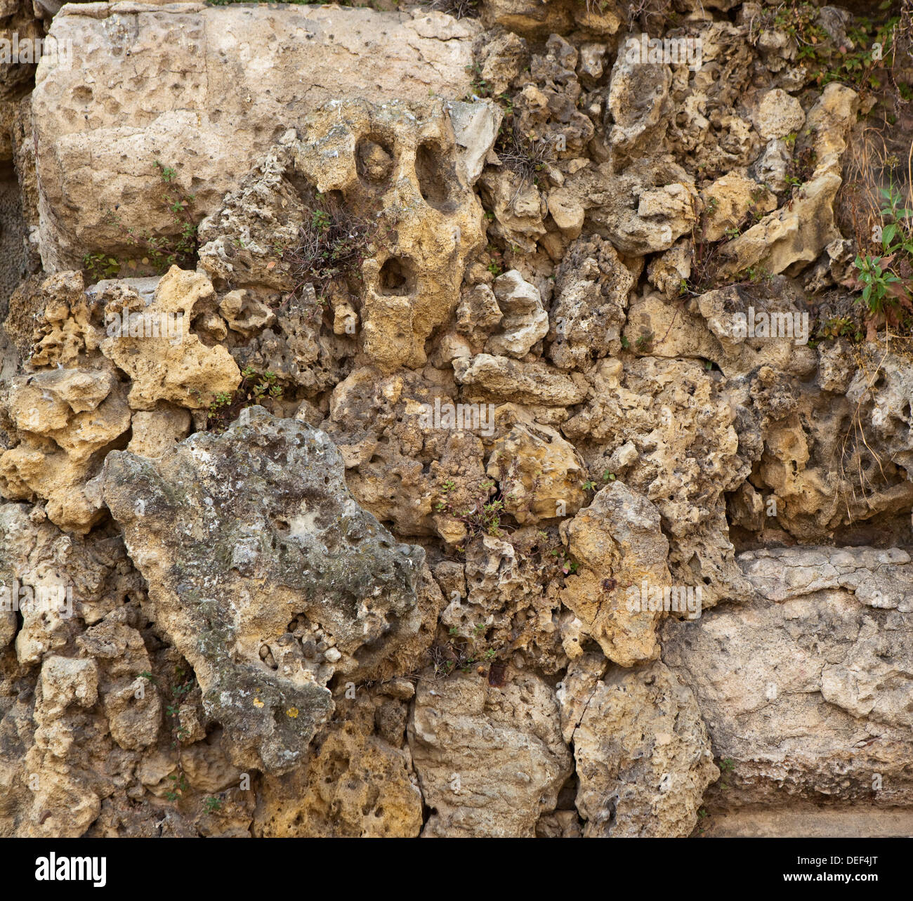 A mix of stone and calcified deposits Stock Photo - Alamy