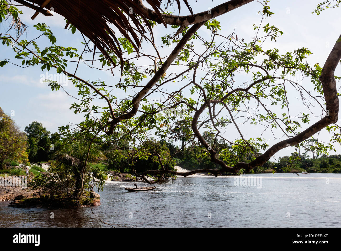 Front Lobe High Resolution Stock Photography and Images - Alamy