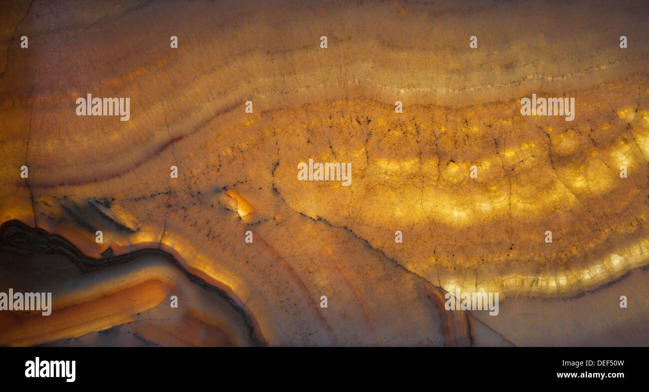 Translucency hi-res stock photography and images - Alamy