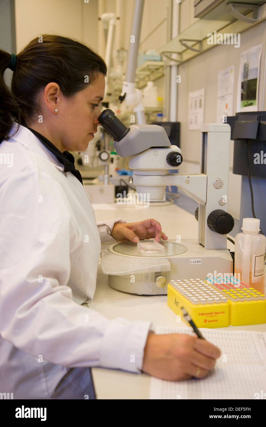 Plankton research hi-res stock photography and images - Alamy