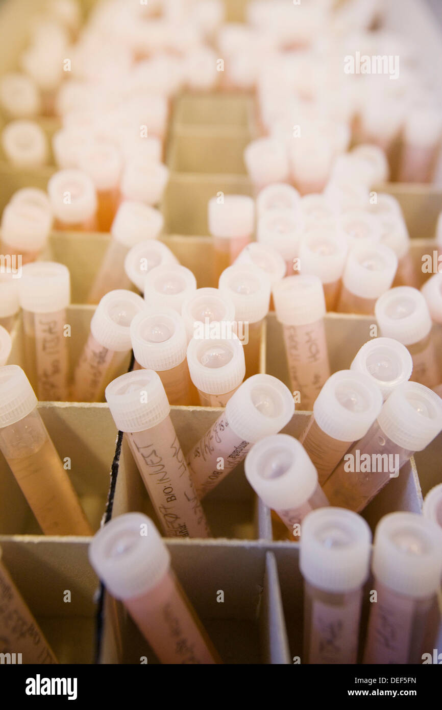 Marine food research technological hi-res stock photography and images ...