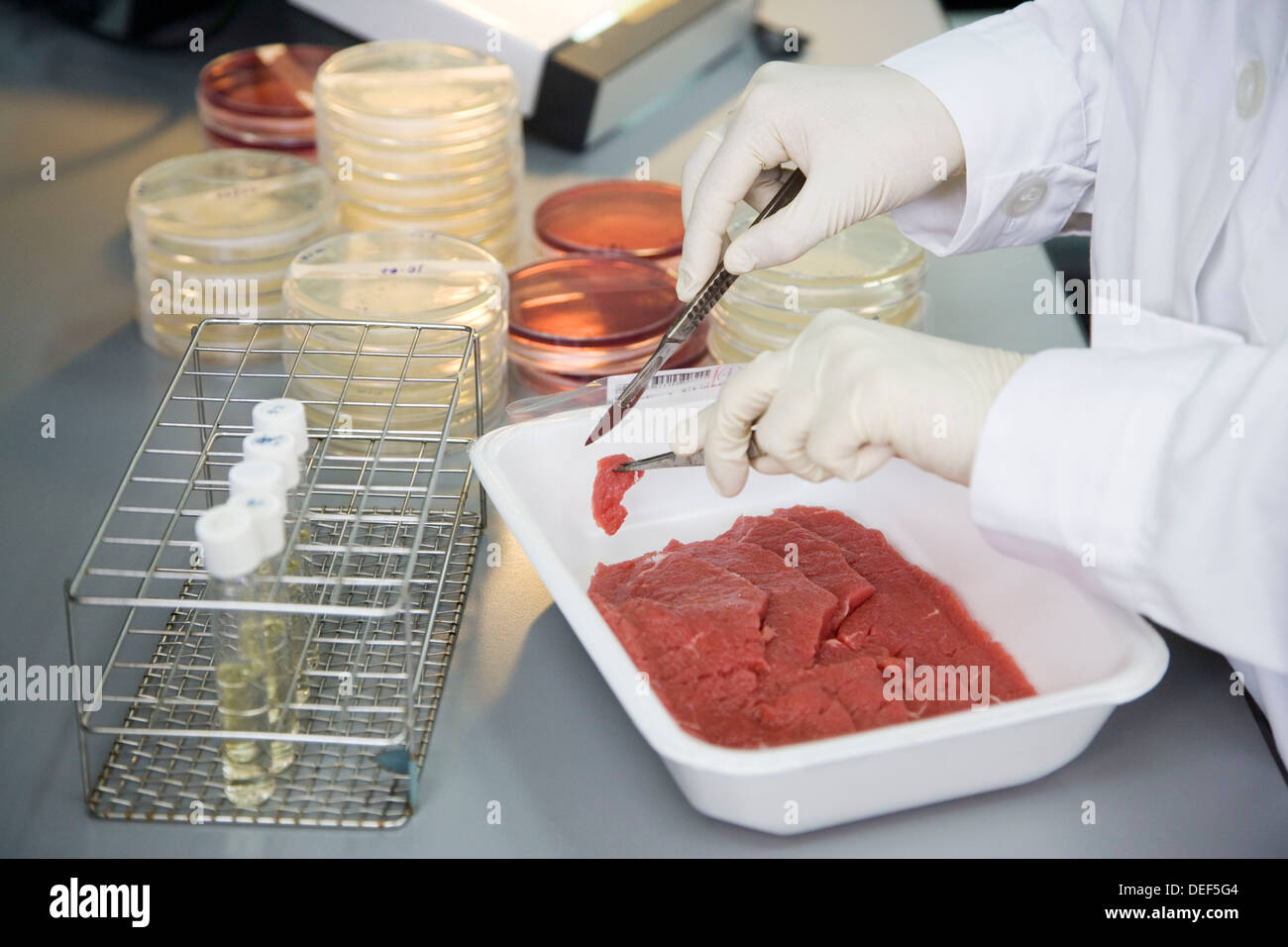 Laboratory glassware meat hi-res stock photography and images - Alamy