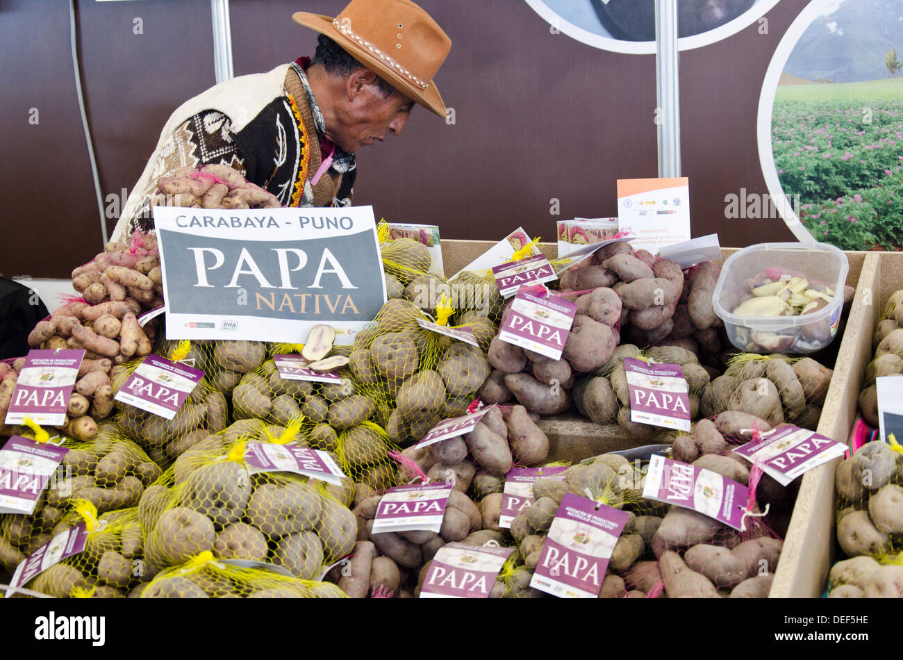 Mistura 2013 food fair in Lima, Peru Stock Photo - Alamy